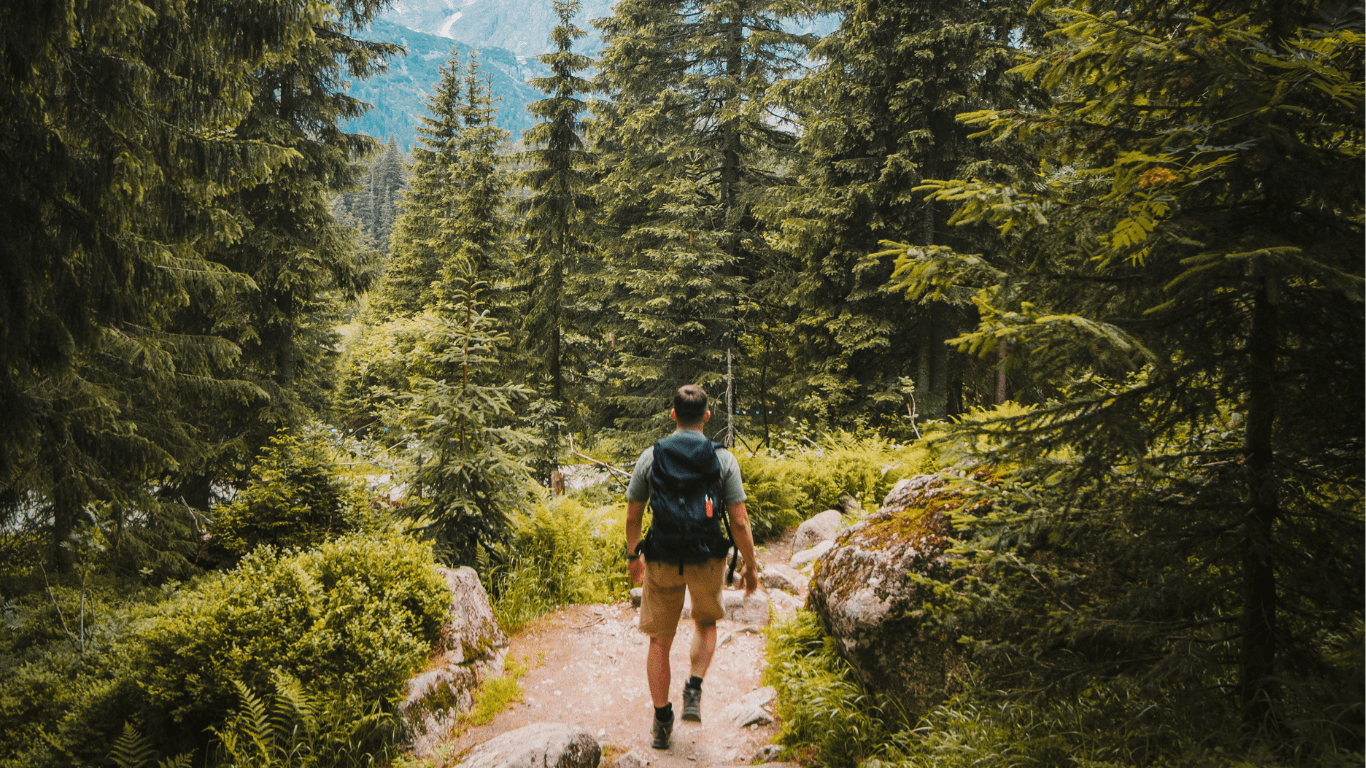 Exploring Hidden Gems: Discover Off-the-Beaten-Path Hiking Trails for ...