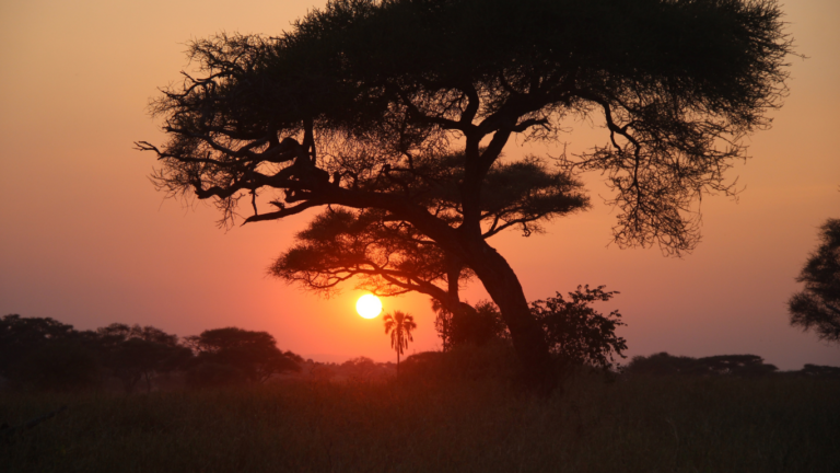 Exploring the World's Wildest Places: A Travel Guide for Adventurous ...