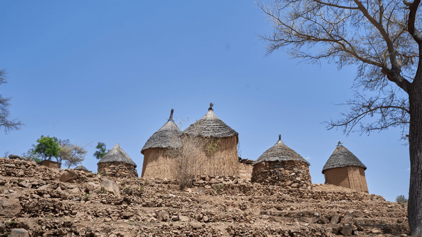 How to Build a Shelter in the Wild: Step-by-Step Guide for Various ...